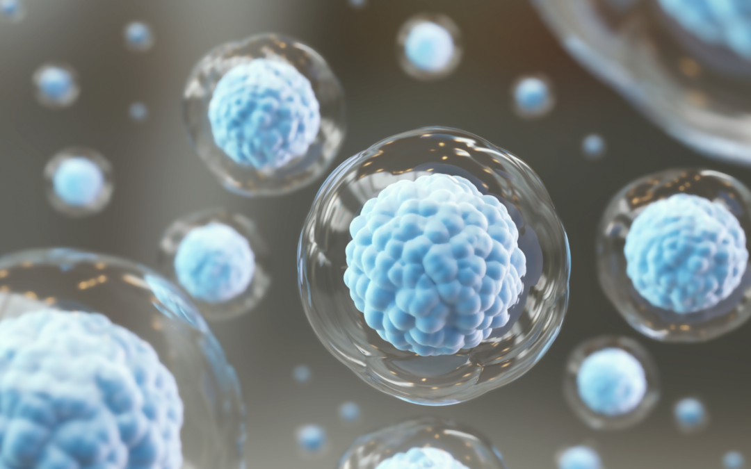 What are Progenitor Cells? – Stem Nova Network