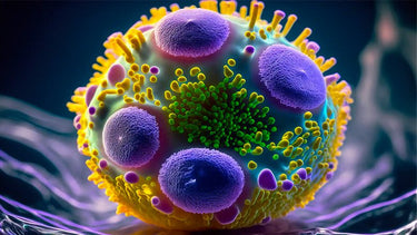 Exosomes in the Beauty Lab: The Science Behind Youthful Skin Without t ...